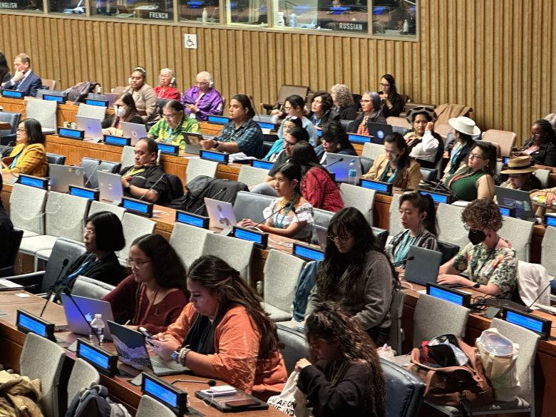 Your guide to the 2024 UN Permanent Forum on Indigenous Issues ...